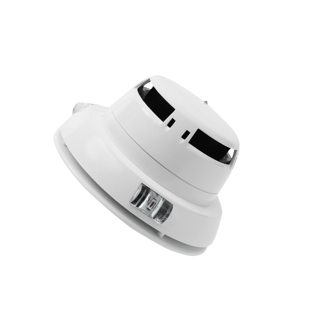 Loop Devices Landing - Teledata One